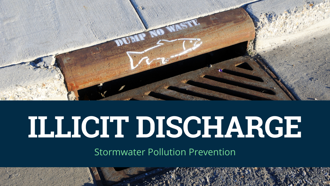 Stormwater 101: Illicit Discharges - Colorado Stormwater Council